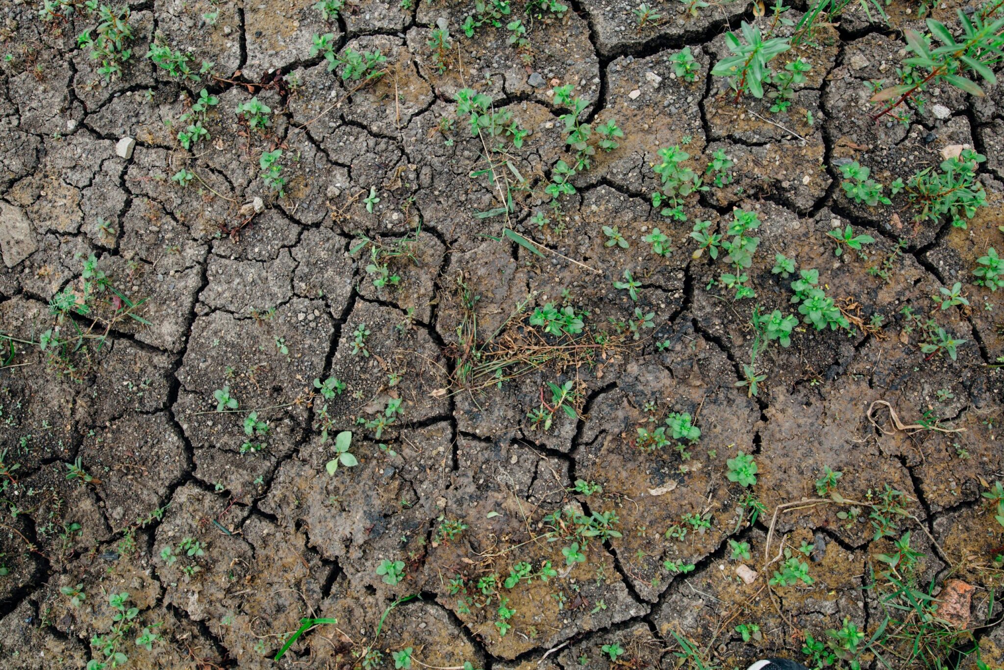 How Ongoing Dry Conditions Are Affecting Wells in the Lower Mainland